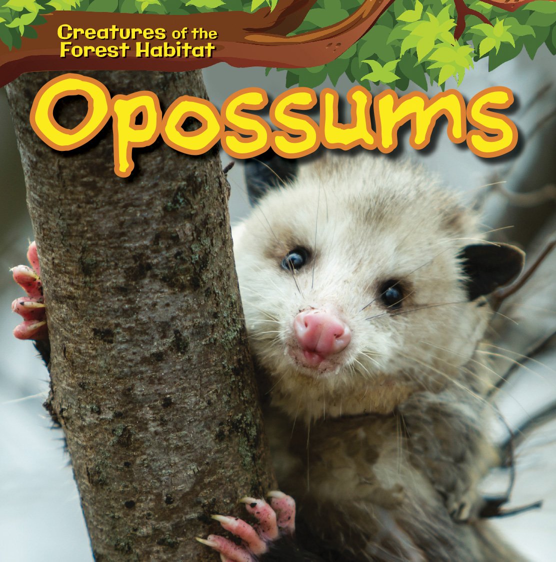 Opossums (Creatures of the Forest Habitat): Quinlivan, Ada ...