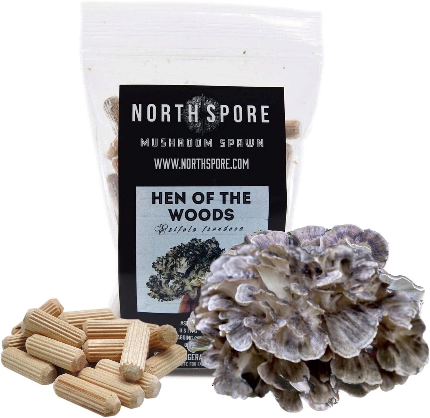 Amazon.com : North Spore Organic Blue Oyster (500 ct) Mushroom Plugs ...