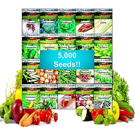 Amazon.com : 30 Assorted Packages of Vegetable Seeds, 15+ Varieties ...