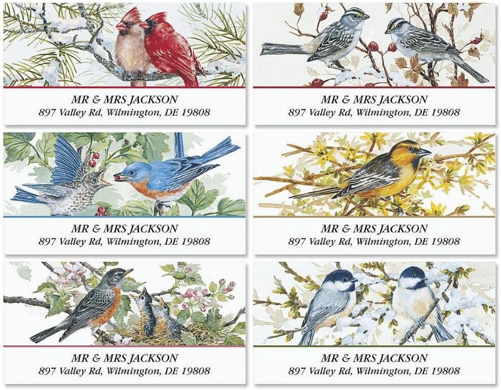 Amazon.com : Colorful Images Garden Friends Birds Return Address ...