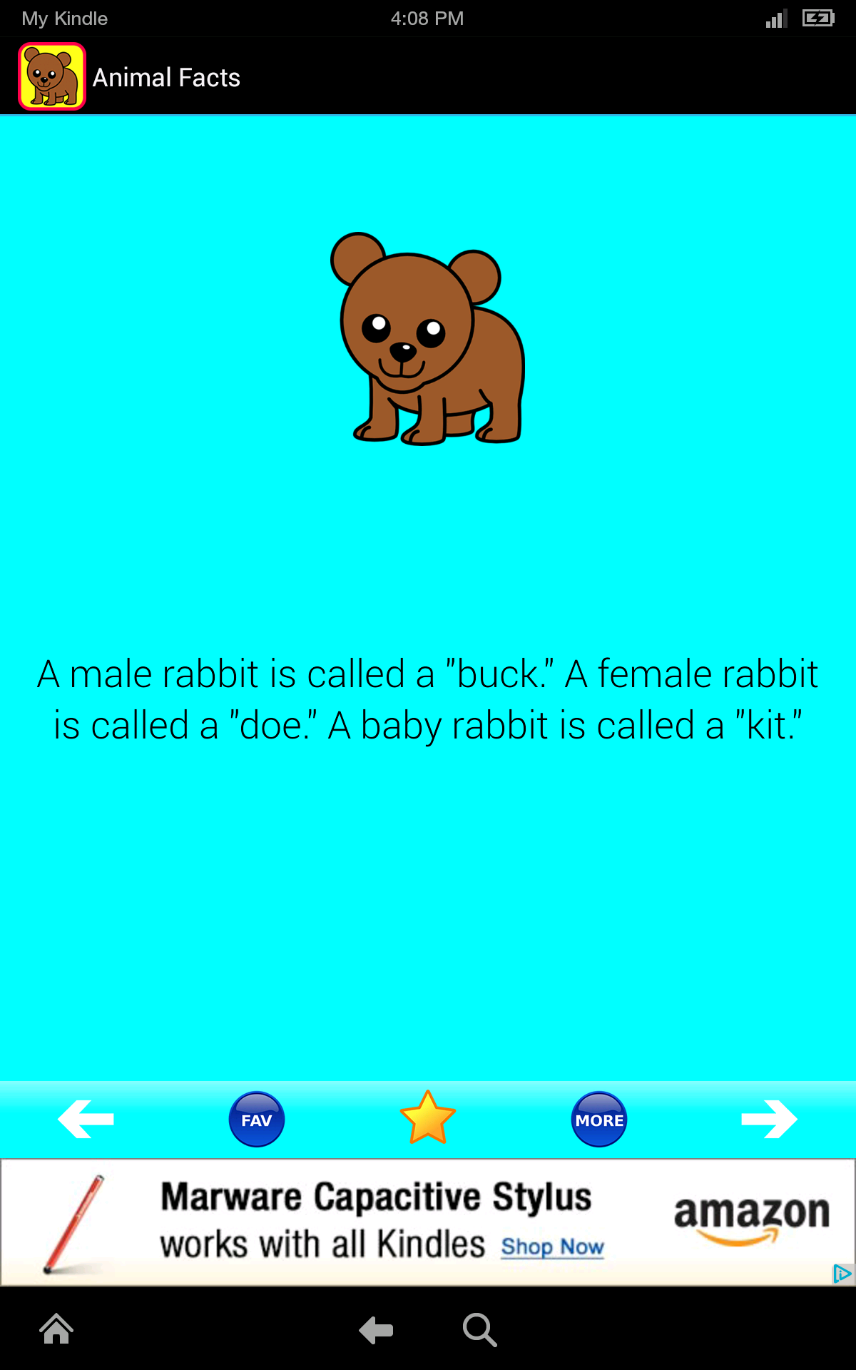 Animal Facts 1000 Fun Cool Cute Facts About Animals Around The World animal-facts-1000-fun-cool-cute-facts-about-animals-around-the-world