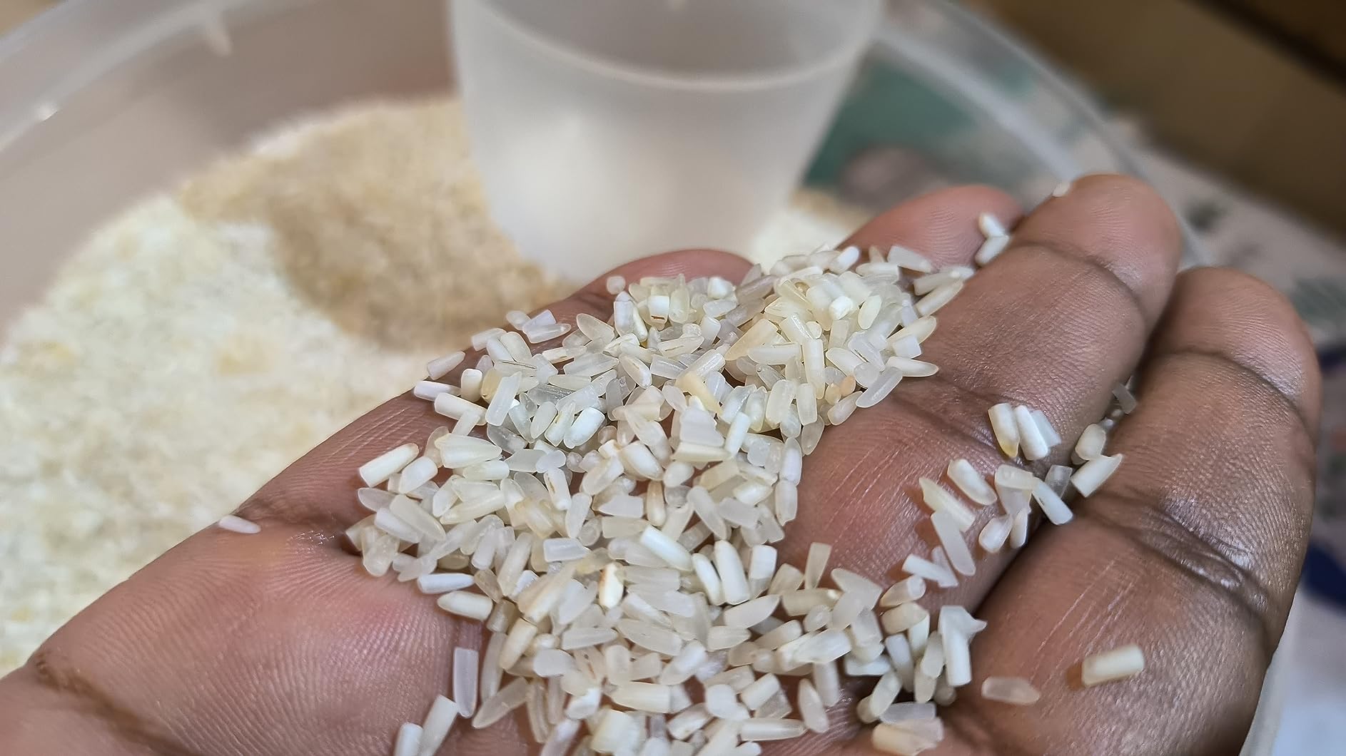 India Gate Daily Delight Pure Basmati Rice 5kg | Raw and Aged Broken ...