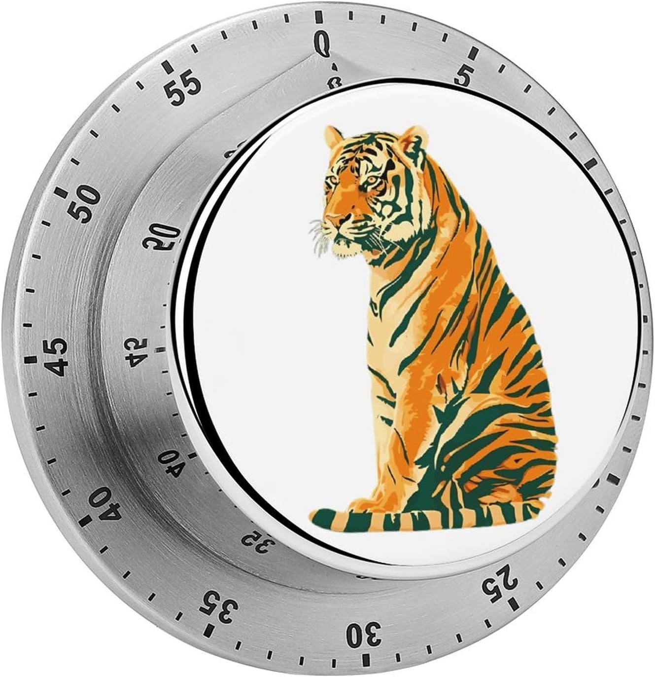 Amazon.com: Tiger Green 60 Minute Wind Up Timer Clock Digital Visual ...