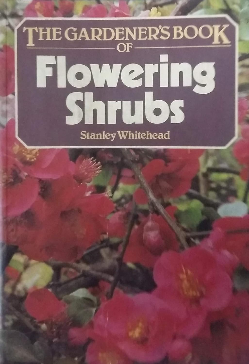 Amazon.co.jp: Gardener's Book of Flowering Shrubs : Whitehead, Stanley ...