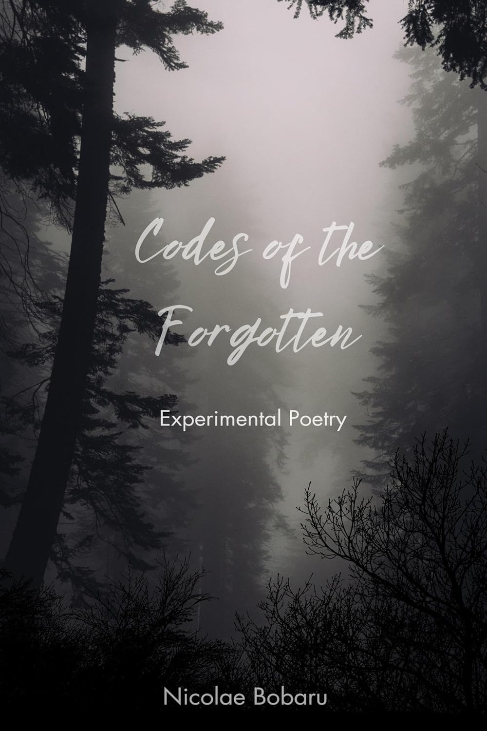 Amazon.com: Codes of the Forgotten eBook : Bobaru, Nicolae: Kindle Store