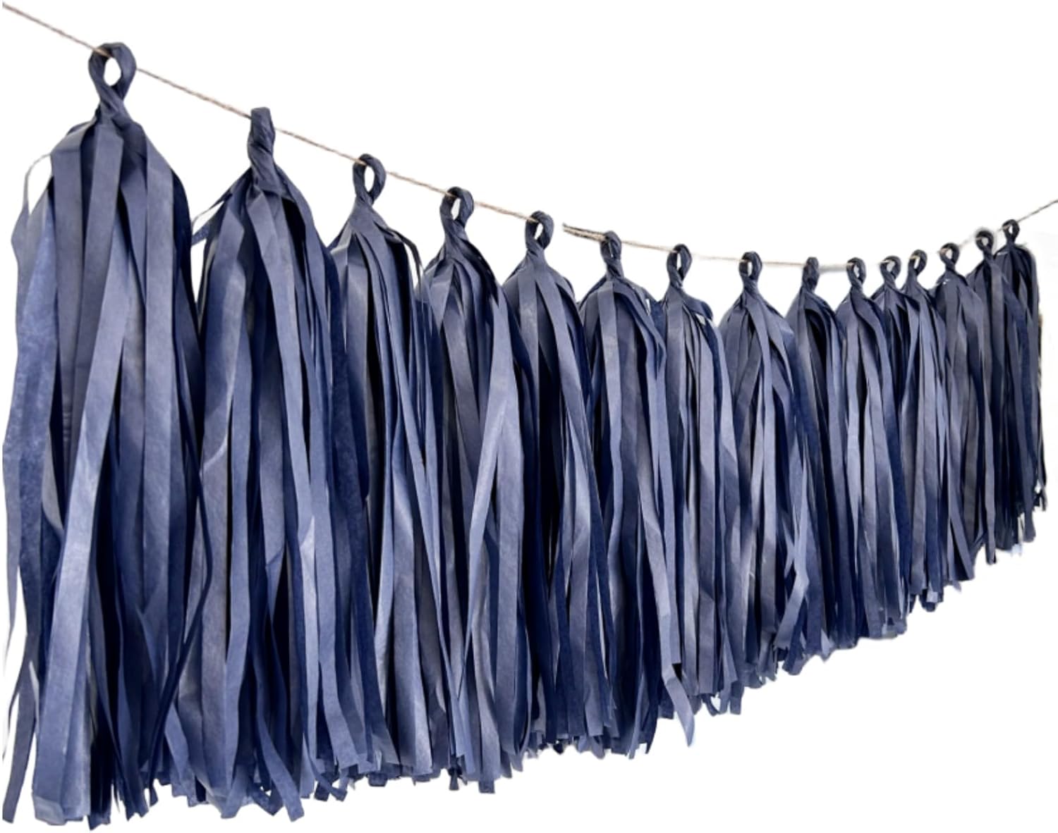 Amazon.com: Navy Blue Tassel Garland Banner Tissue Paper Tassels for ...