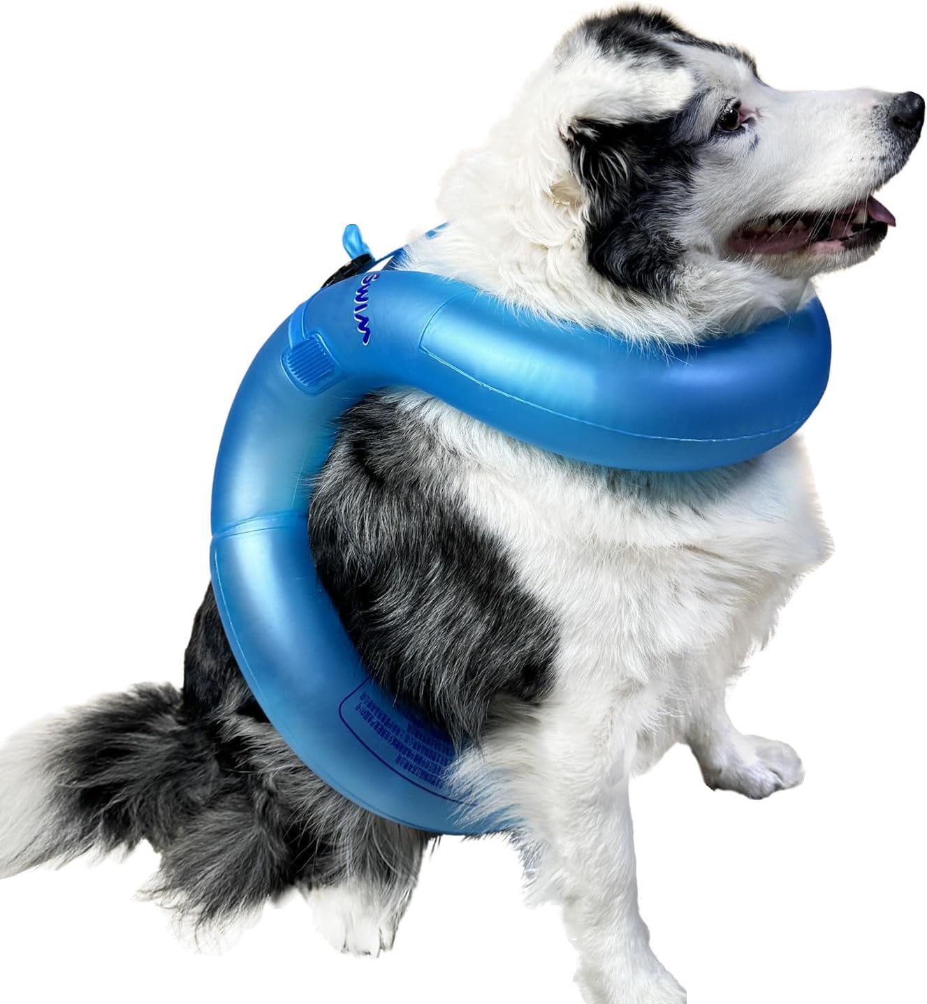 Amazon.com : Dog Life Jacket,Pool Floats for Dog,Inflatable Swimming ...