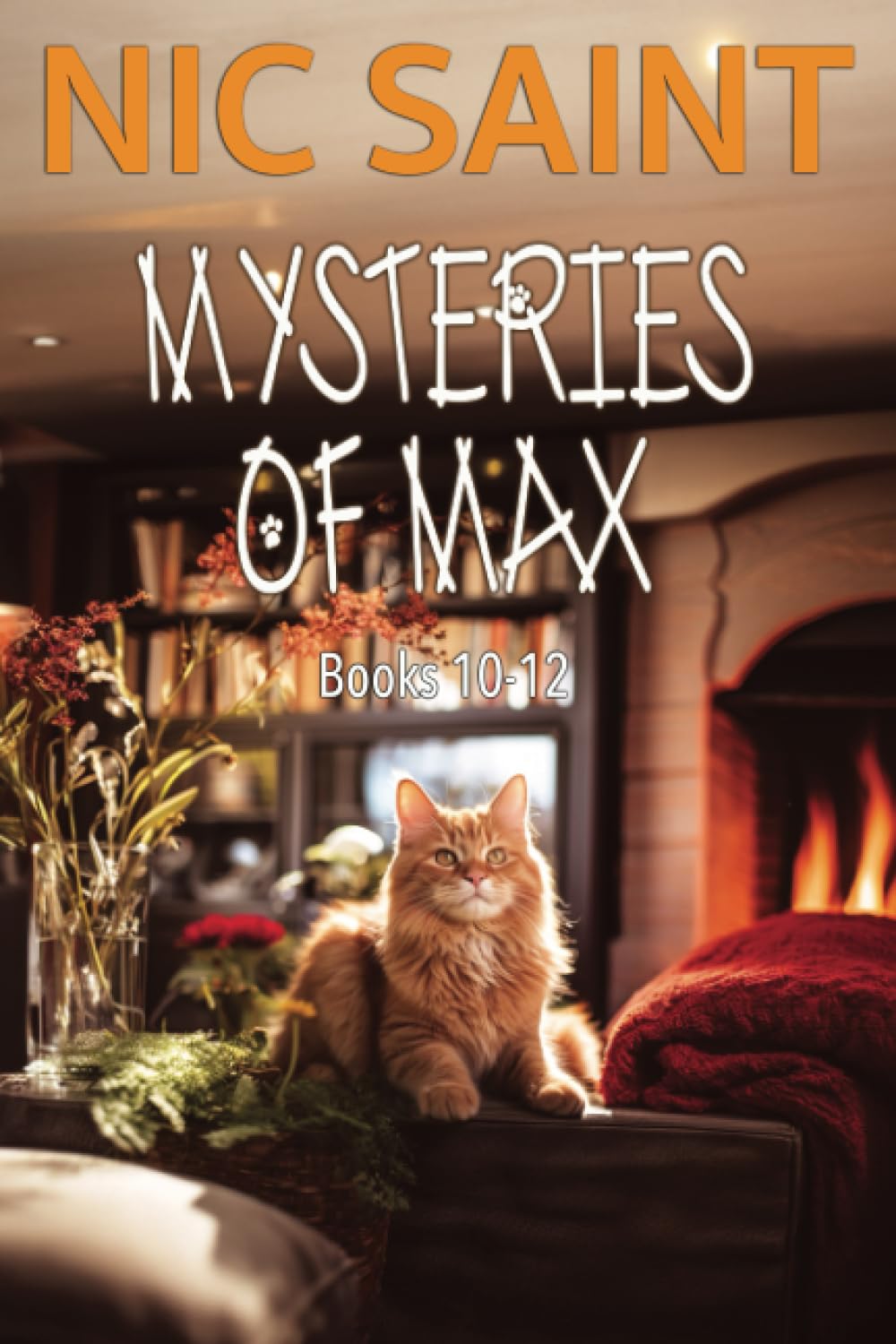 Amazon.com: Mysteries of Max: Books 10-12 (Mysteries of Max Collection ...