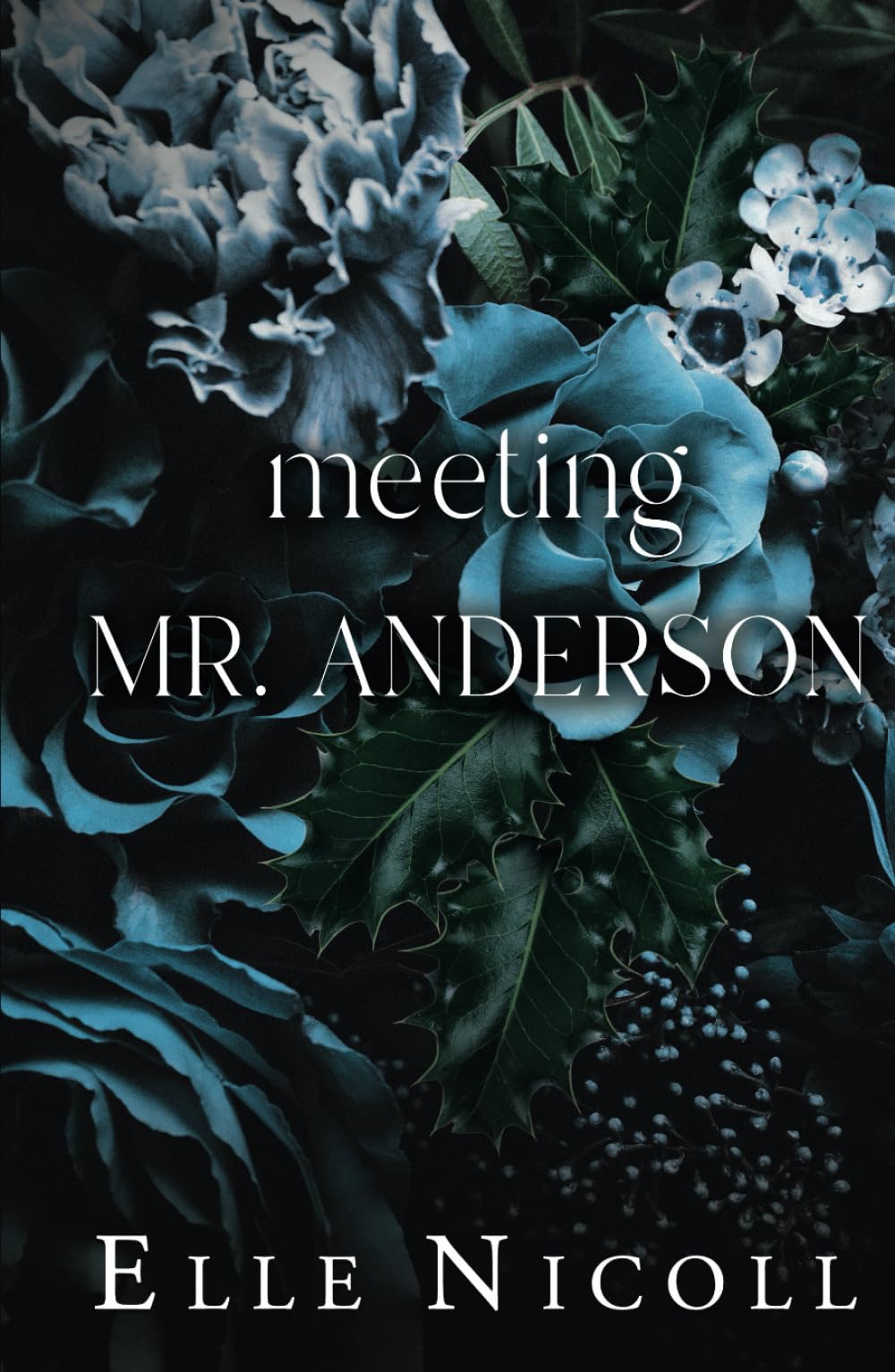 Amazon.com: Meeting Mr Anderson (The Men Series - Interconnected ...