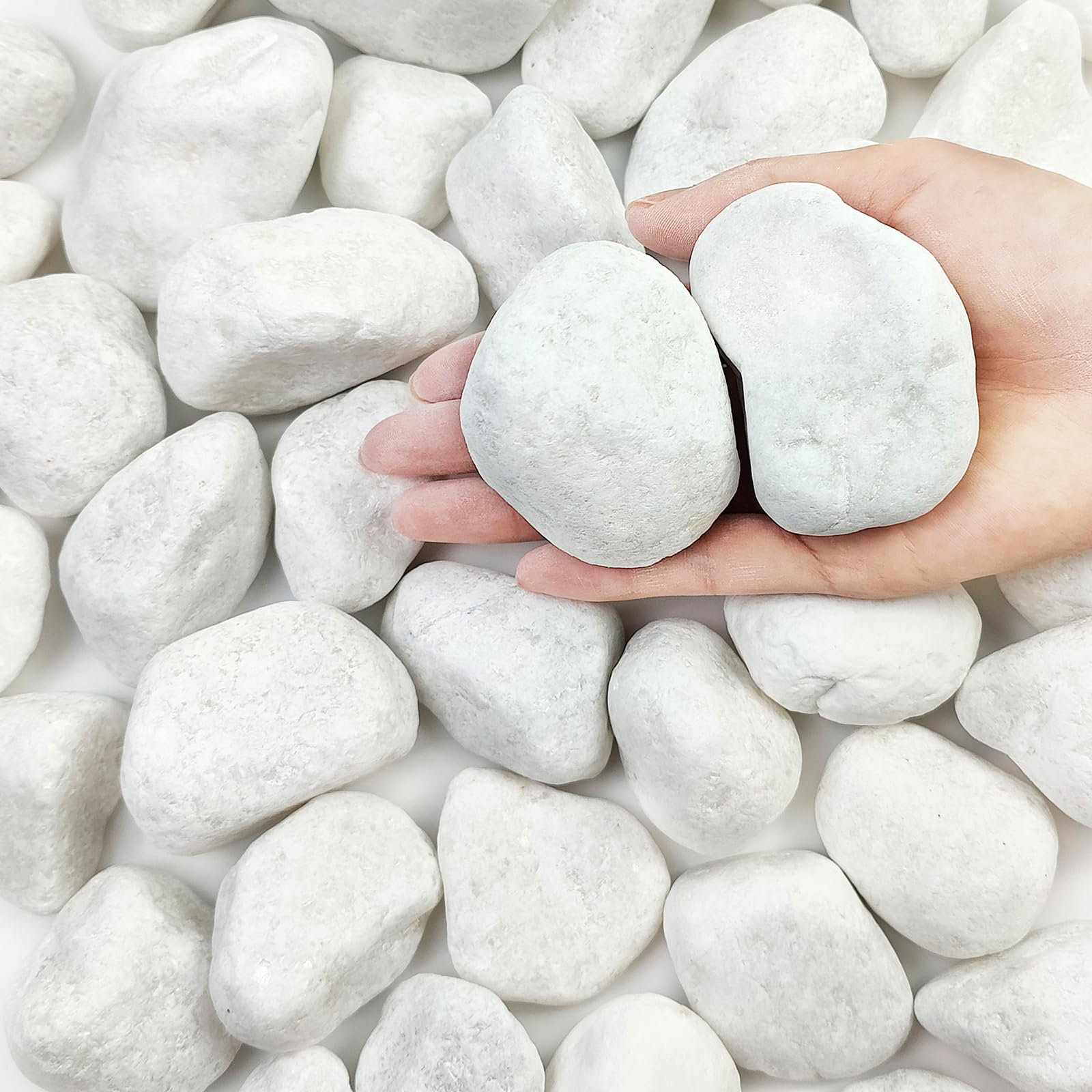 Amazon.com : FANTIAN 5 lbs White Rocks for Plants, 2-3 Inch Large ...