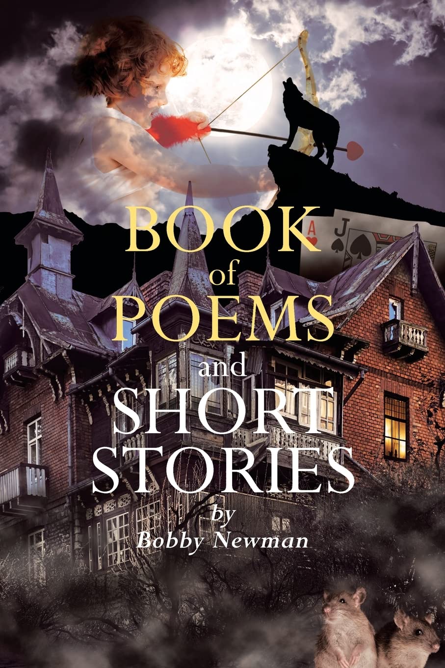 Book Of Poems and Short Stories: Newman, Bobby: 9781662485916: Amazon ...
