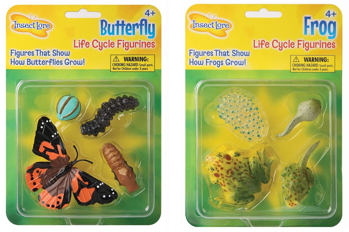 Butterfly and Frog Life Cycle Stages Toy Figurines - Bundle - 8 Piece ...