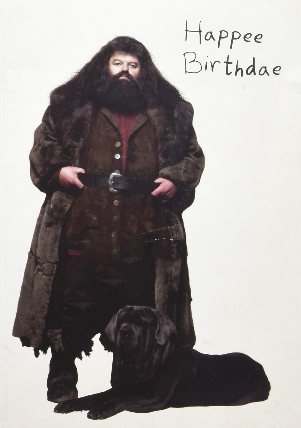 Harry Potter: Hagrid's Cake Pop-Up Card: 9781682983638: Amazon.com: Books