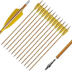 Amazon.com : 31 Inch Archery Hunting Arrows Spine 400 Pure Carbon ...