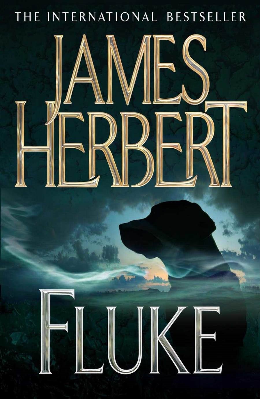 Fluke: Amazon.co.uk: Herbert, James: 8601405774552: Books