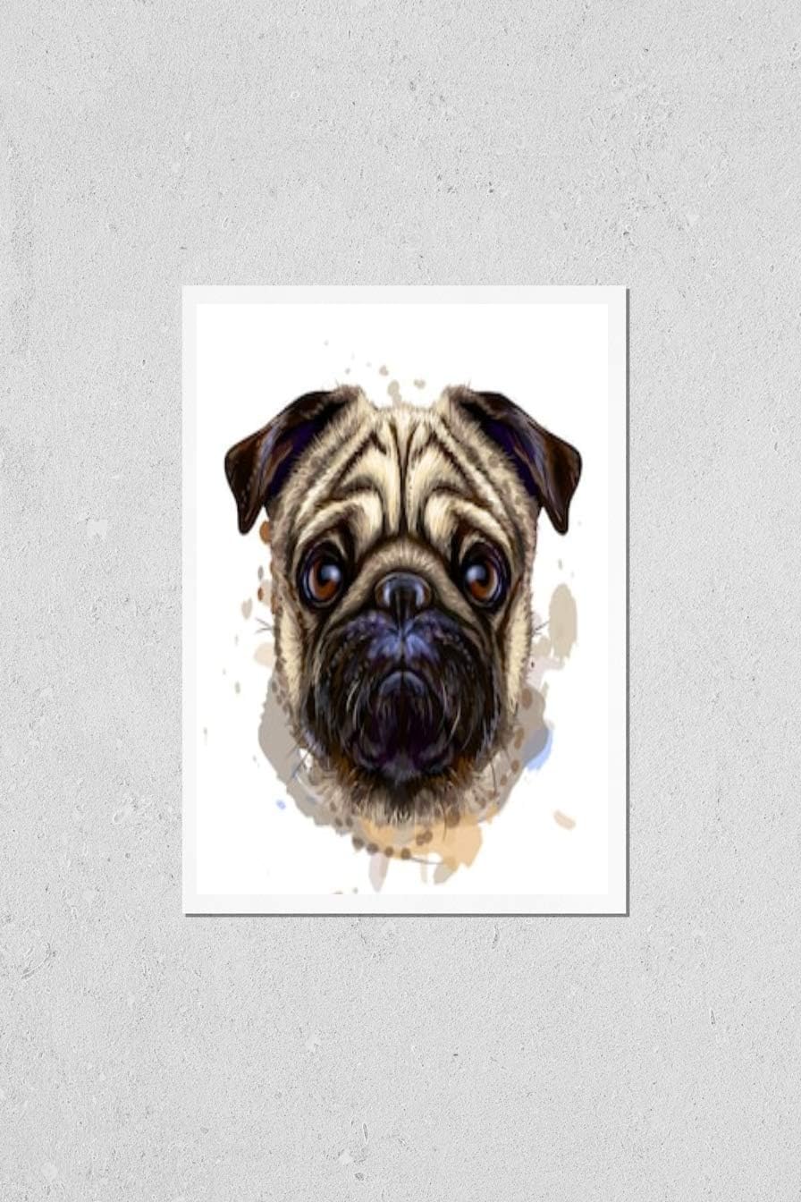 Amazon.com: Wall Art Poster Print of Pug. Artistic Graphic, Hand-Drawn ...