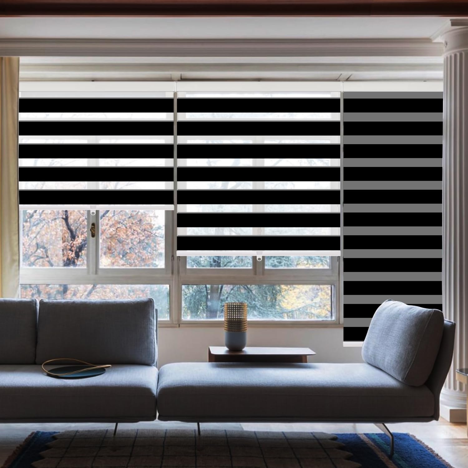 Amazon.com: Zebra Blinds for Windows,Custom Size Cordless Zebra Roller Window Blinds, Dual Layer ...