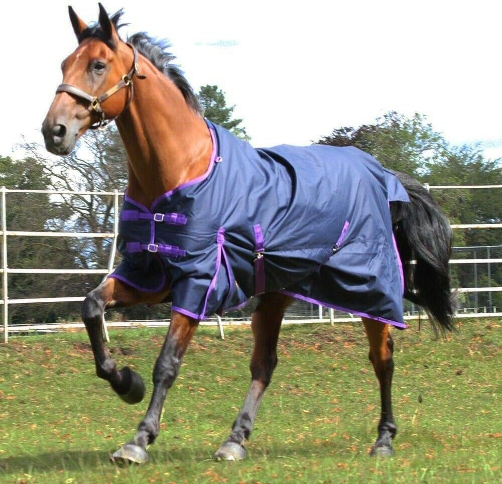 Gallop Trojan Lightweight Turnout Rug/Rain Sheet No Fill. 6`3" : Amazon ...