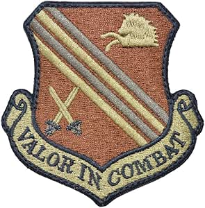 Amazon.com: 354th Fighter Wing Patch - USAF OCP : Clothing, Shoes & Jewelry