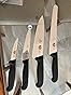 Amazon.com: Victorinox 4-Piece Knife Set with Fibrox Handles: Boxed ...