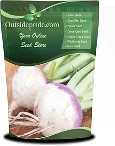 Outsidepride Purple Top Turnip Seeds - 10 Lbs High-Yield, High Protein ...