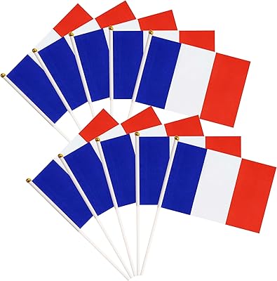 Amazon.com : Lebei Small France French Flag Mini Handheld 4x6 Inch ...