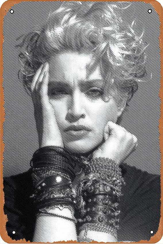 Amazon.com: Madonna Pop Singer Madonna Poster Metal Sign Tin Metal ...