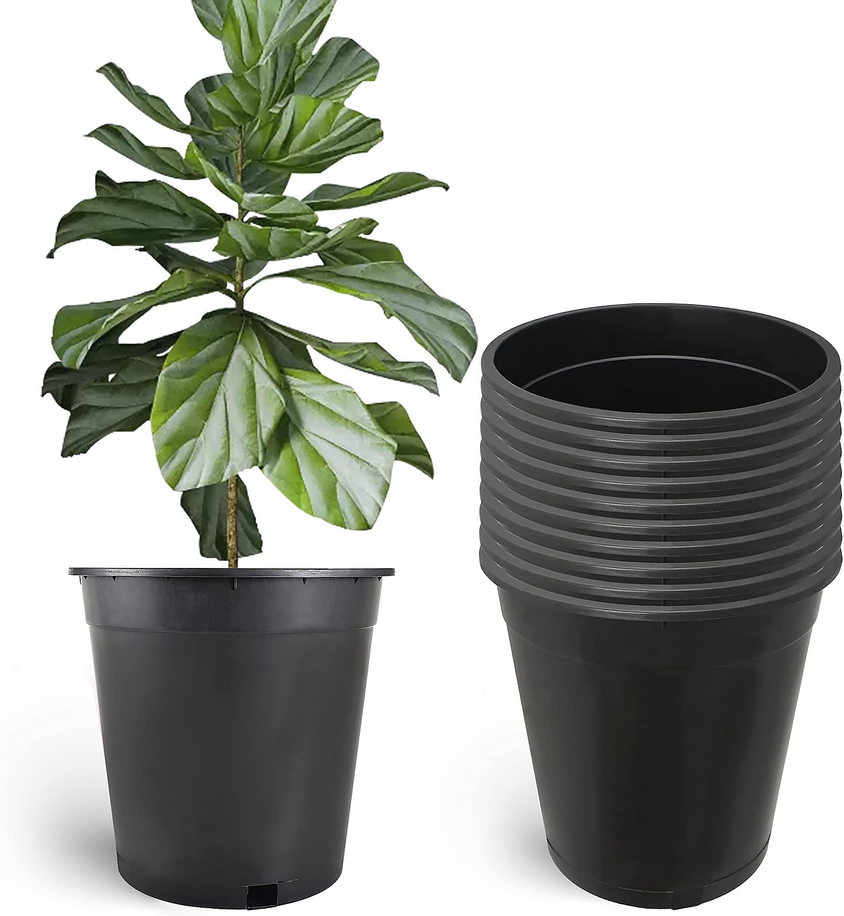 Amazon.com: waltyotur 10PCS 3.6 Gallon Round Durable Planter Nursery ...