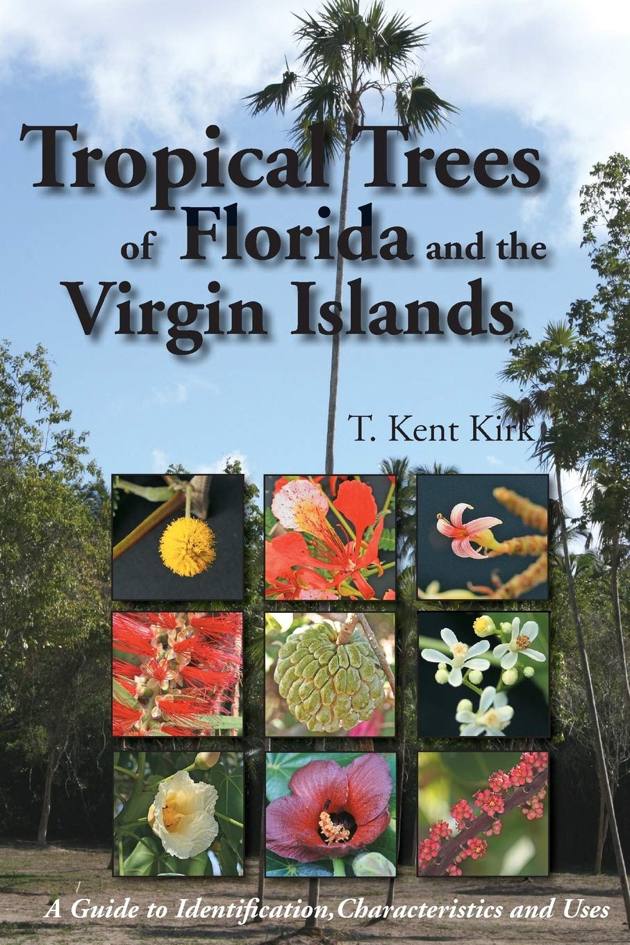 Buy Tropical Trees of Florida and the Virgin Islands: A Guide to ...