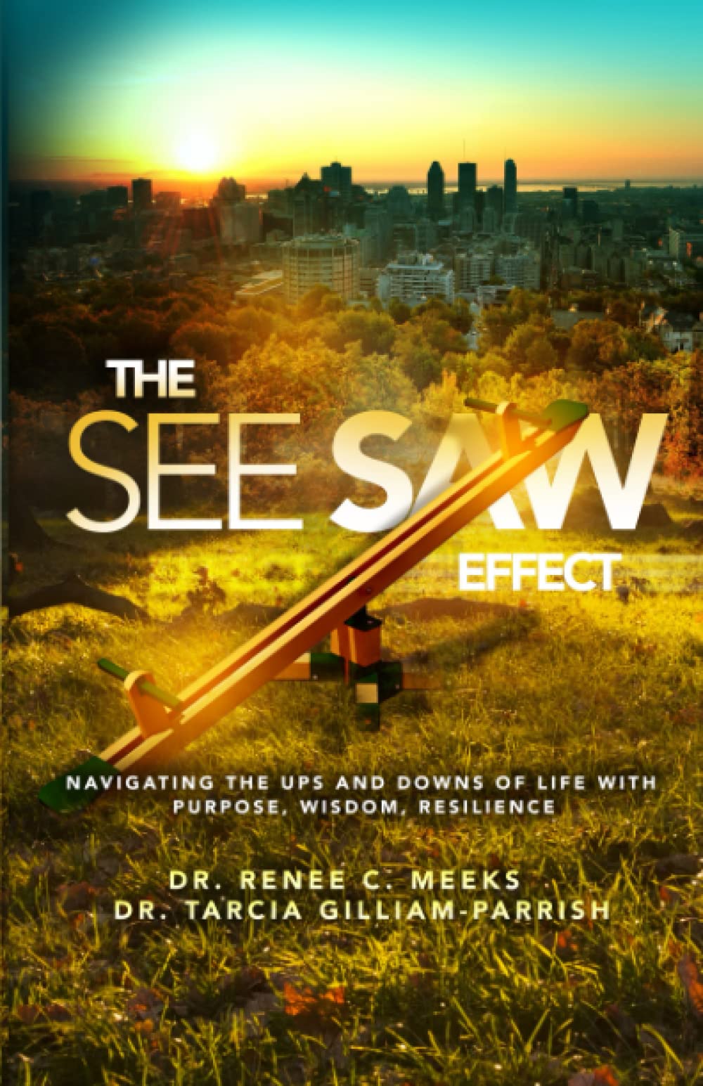 The Seesaw Effect: Navigating the Ups and Downs of Life with Purpose ...