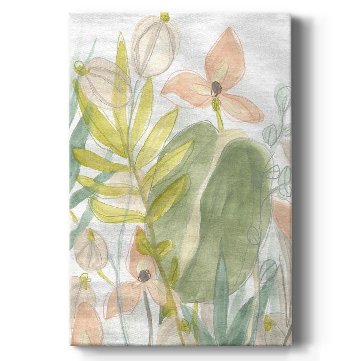 Island Flowers Drawings