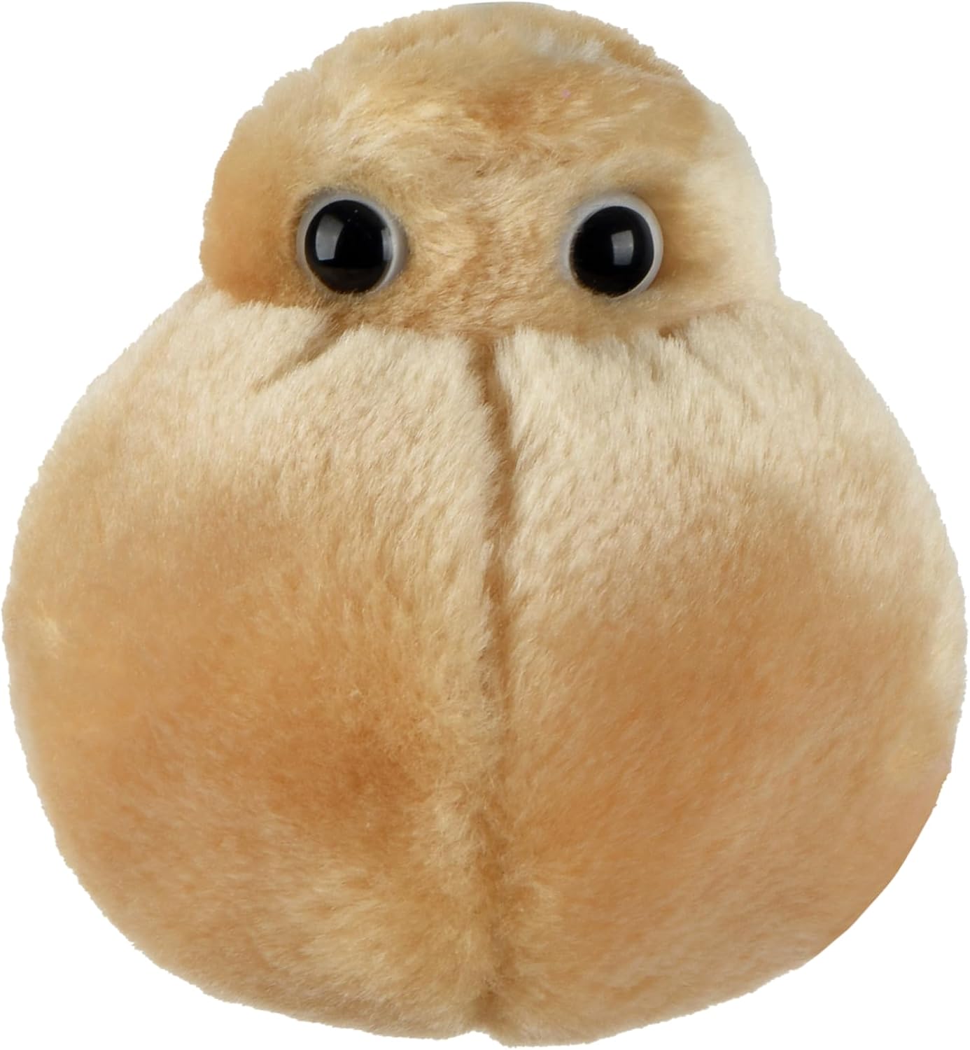 Amazon.com: GIANTmicrobes Fat Cell Plush, Biology Gifts, Science ...