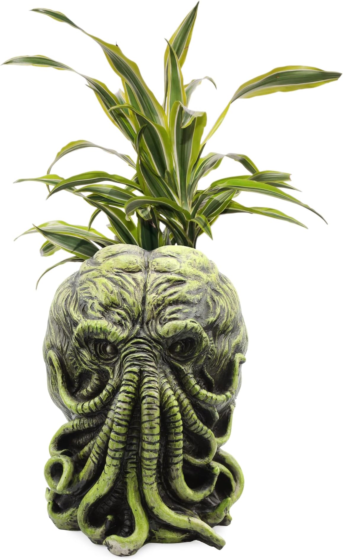 Amazon.com: Darware Mini Athena/Medusa/Perseus Planter Pots (Set of 3 ...