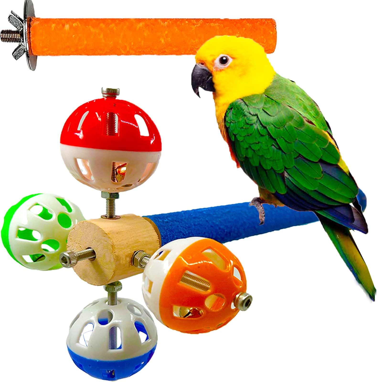 Amazon.com: Fejapa Bird Perch Toy with Rotating Balls Natural Parrot ...