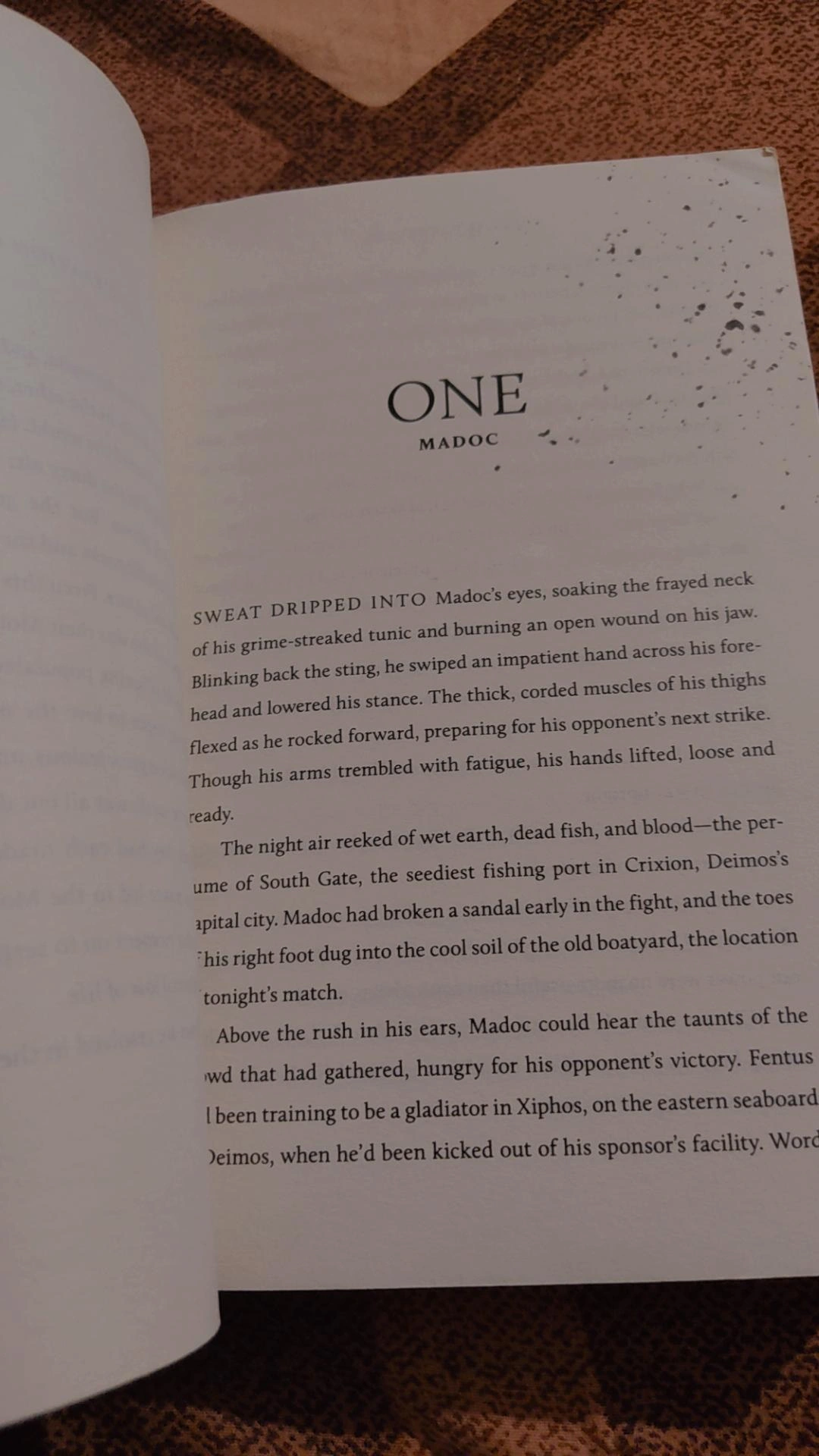 Set Fire to the Gods : Simmons, Kristen, Raasch, Sara: Amazon.com.au: Books