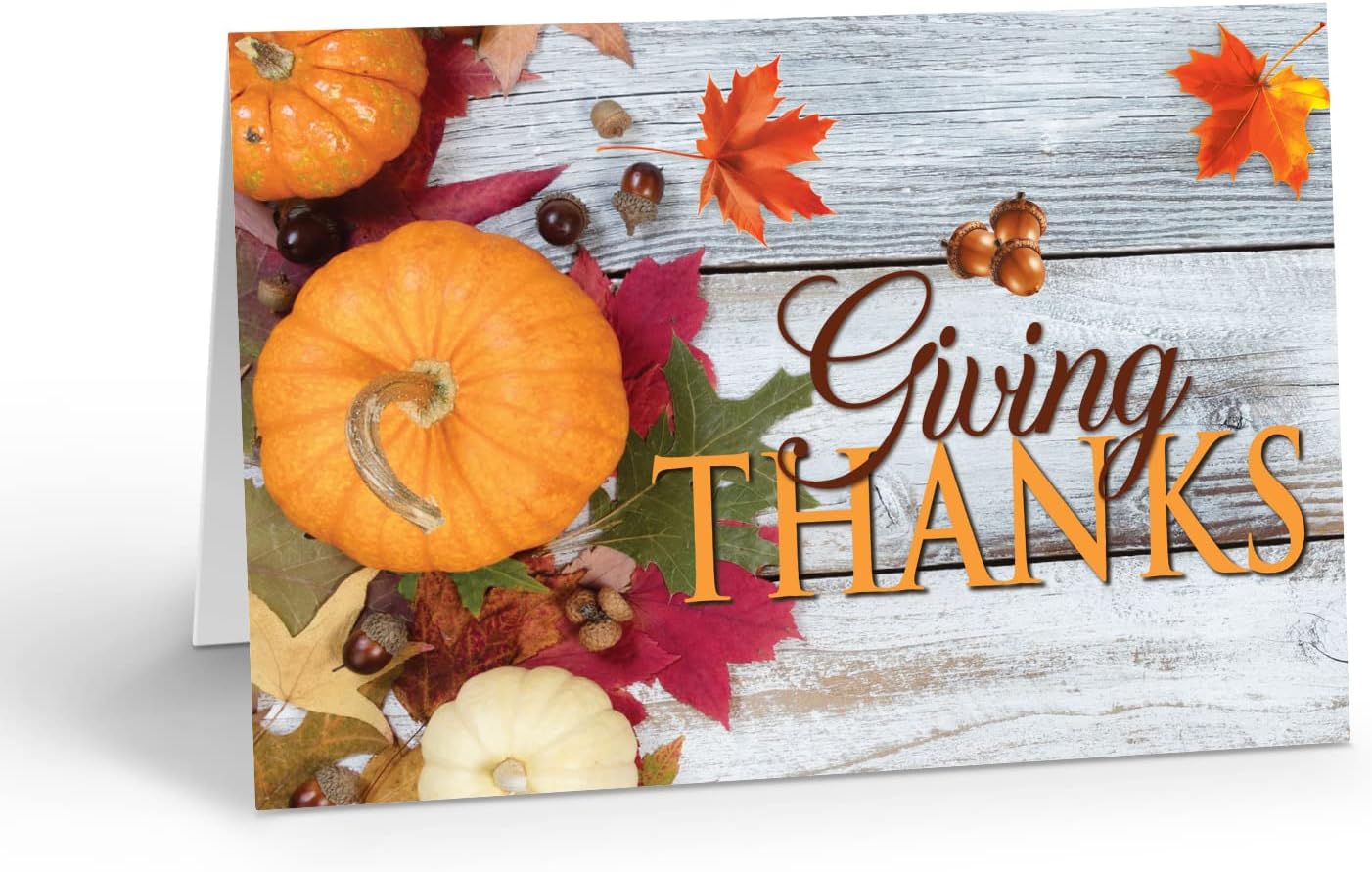 Amazon.com : Stonehouse Collection | Thanksgiving Cards | 12 ...