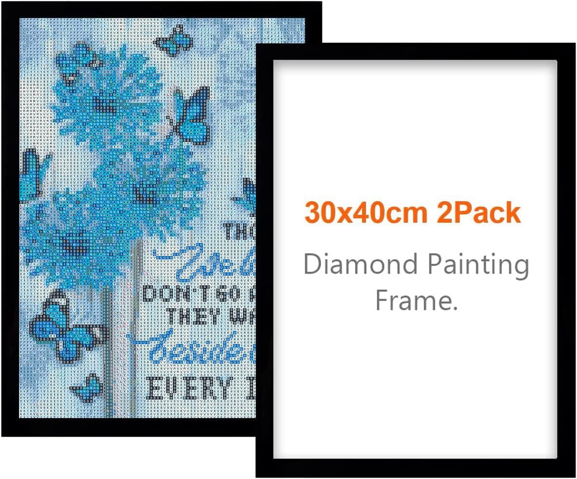 2Pack Diamond Painting Frames, Frames for 12x16in/30x40cm Diamond ...