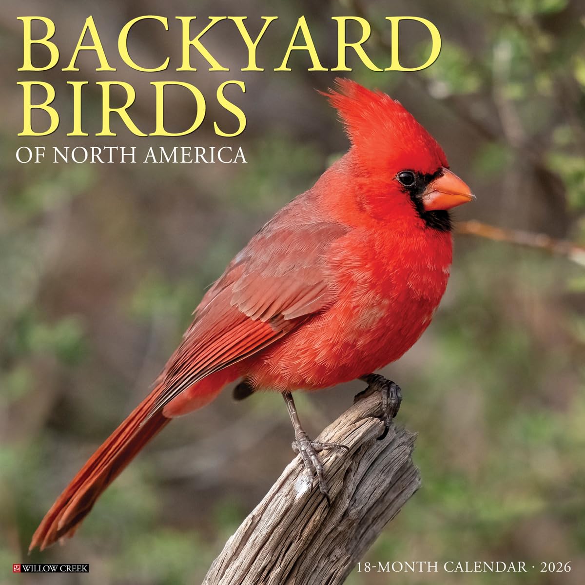 2026 Backyard Birds 12 x 12 Wall: Willow Creek Press: 0679752012441 ...
