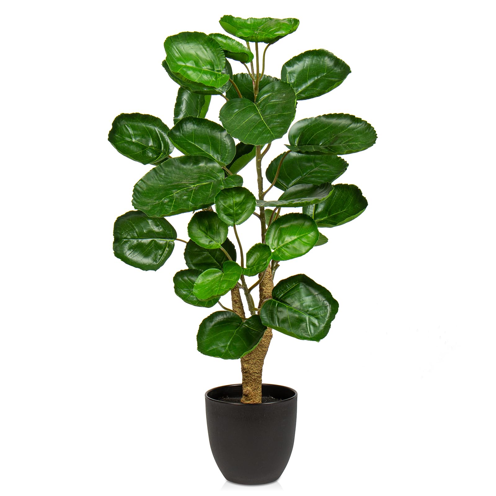 Hollyone 68CM Tall Artificial Polyscias Fabian Fake Money Tree Indoor ...