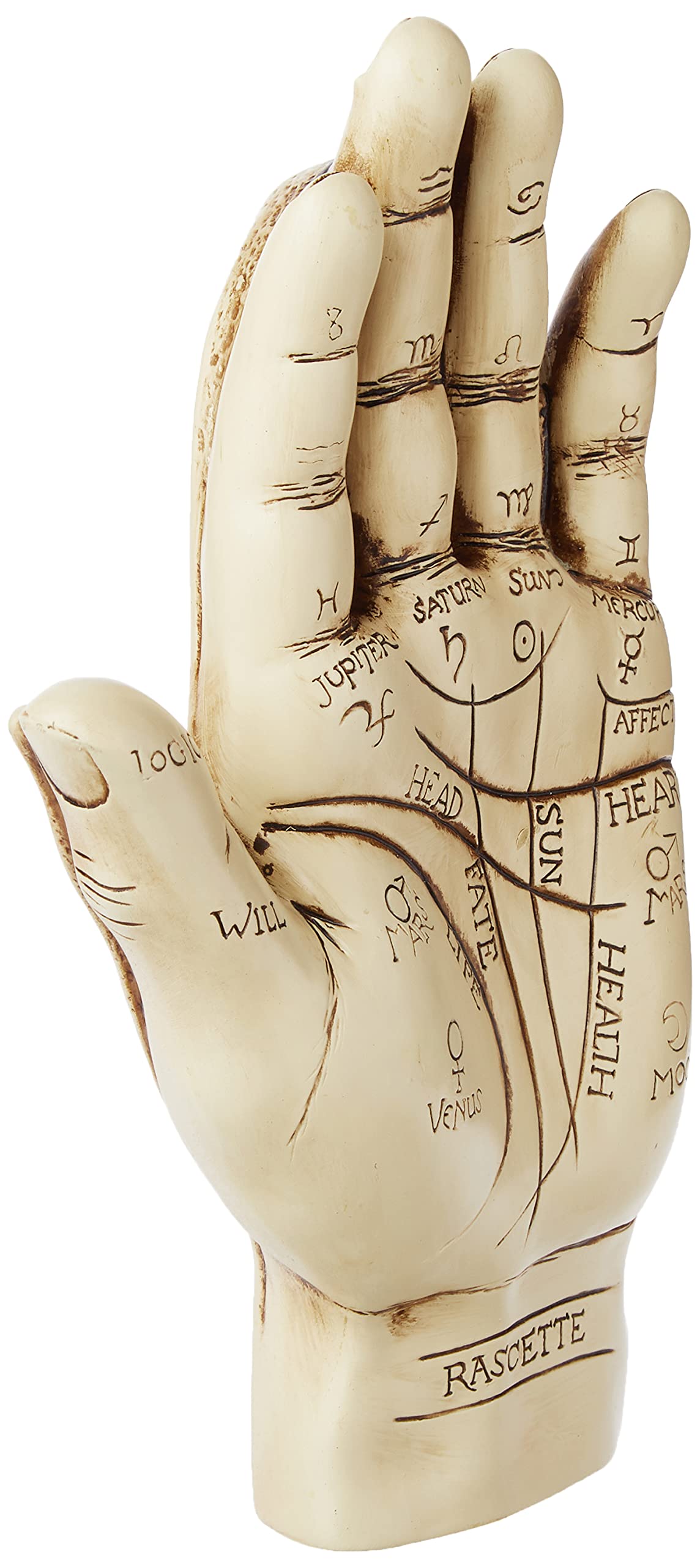 Design Toscano The Palmistry Hand Sculpture : Amazon.ca: Patio, Lawn ...