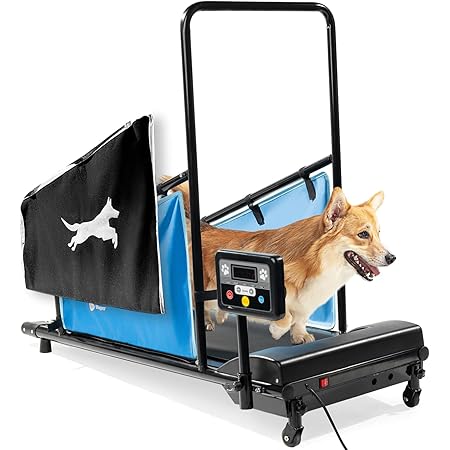 Amazon.com : GoPet Treadwheel for Small Dogs : GoPet : Exercise ...