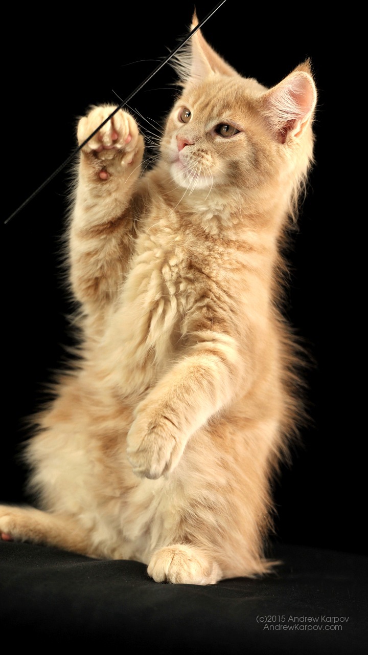 mix and mach game - App on Amazon Appstore