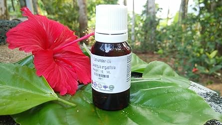 Buy Allin Exporters Tea Tree Essential Oil Undiluted & Pure ...