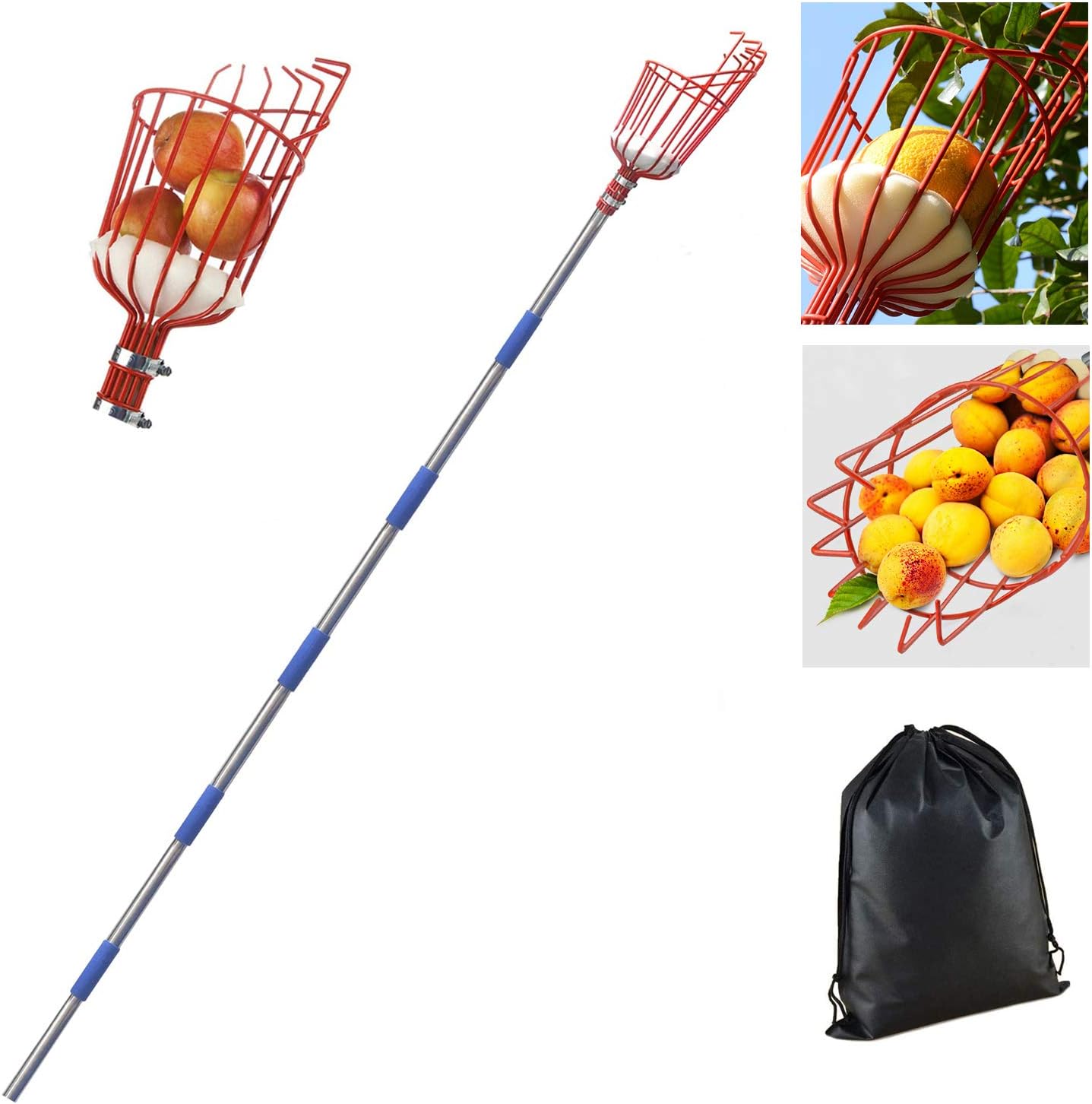 Apple Picker with Telescopic Handle, 2.6M Fruit Picker, Fruit Picker ...
