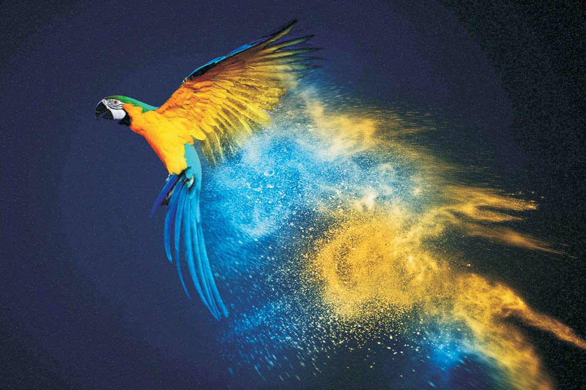 Go Green Tale Animated Bird Wall Poster|Flying Bird Poster|Interior ...