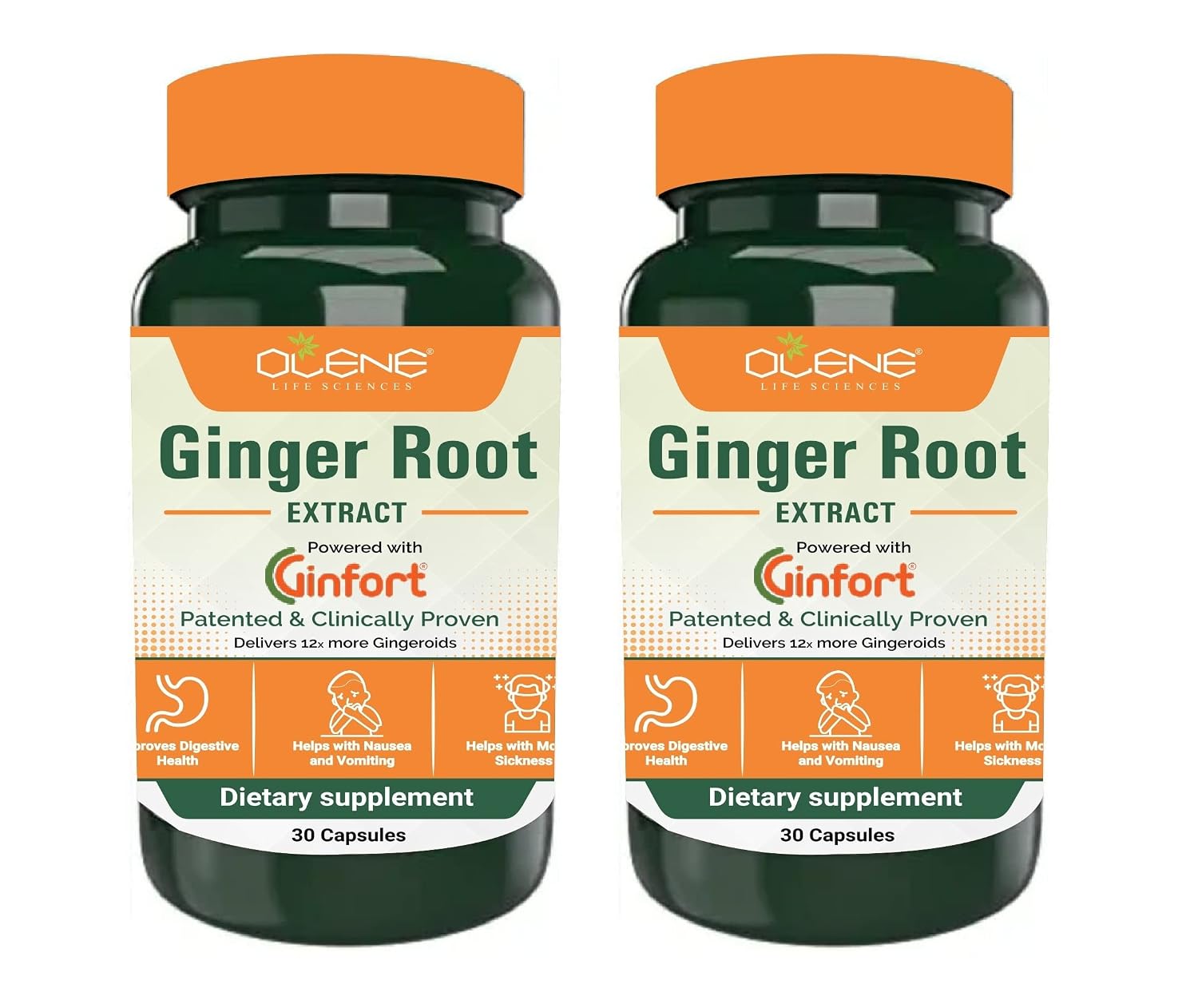 Buy Seek Naturals 100% Natural Ayurvedic Ginger Root Extract Capsules ...
