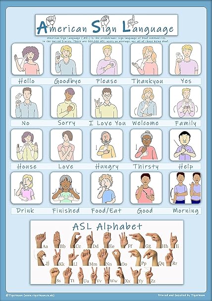 Amazon.com: Tiger Moon American Sign Language - Basic Signs & Alphabet ...