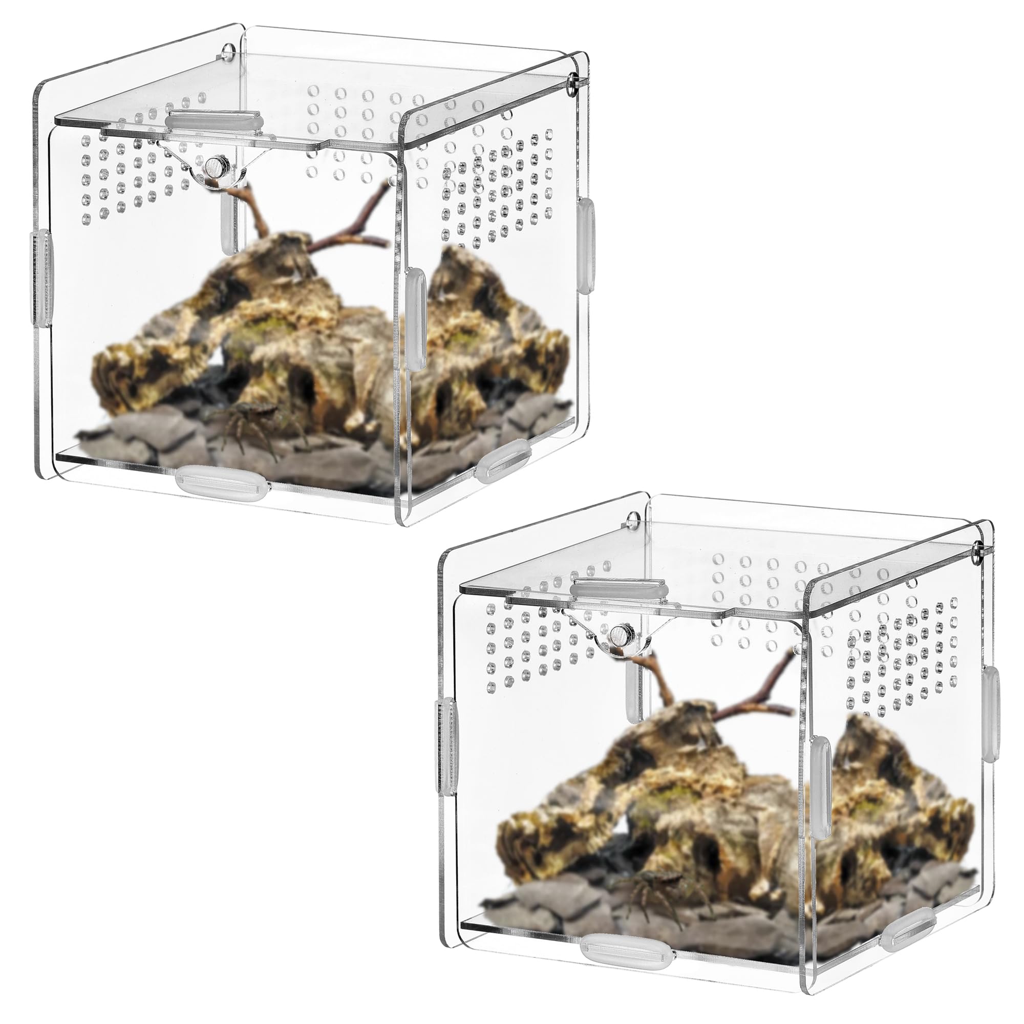 Snapklik.com : VERTUPET 2 Pack Jumping Spider Enclosure, 4x4x4 Acrylic ...