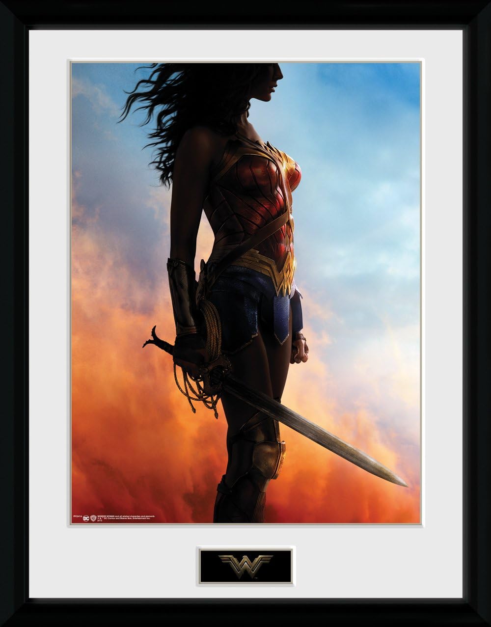 Amazon.com: DC Comics Wonder Woman, Stand, Framed Print, Various, 40X30 ...
