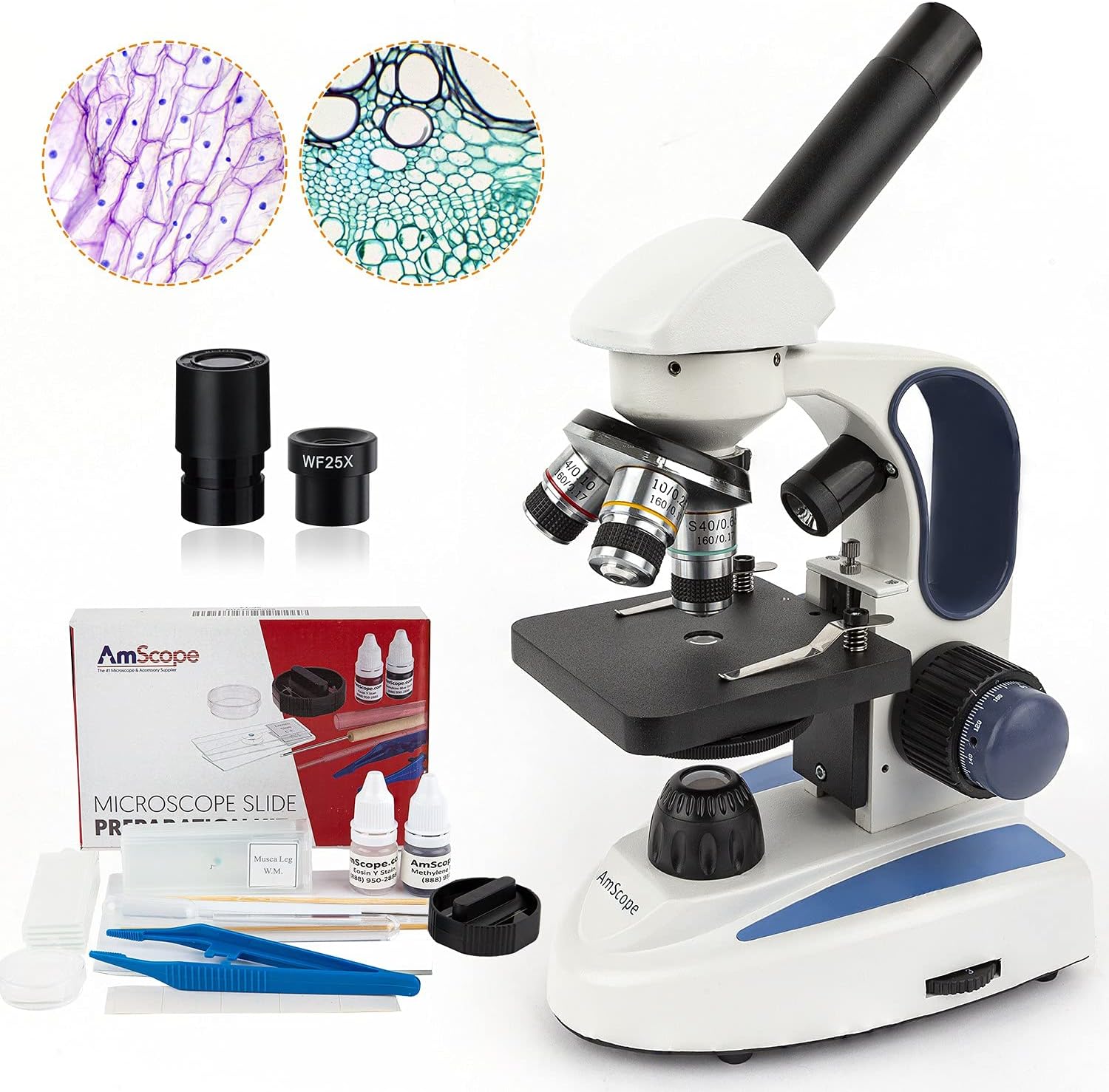 Amazon.com: AmScope - 40X-1000X Cordless Dual LED Illumination Lab ...